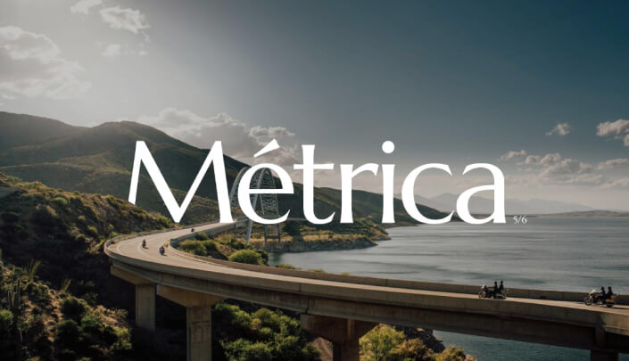 Liko - Creative Agency & Portfolio WordPress Theme