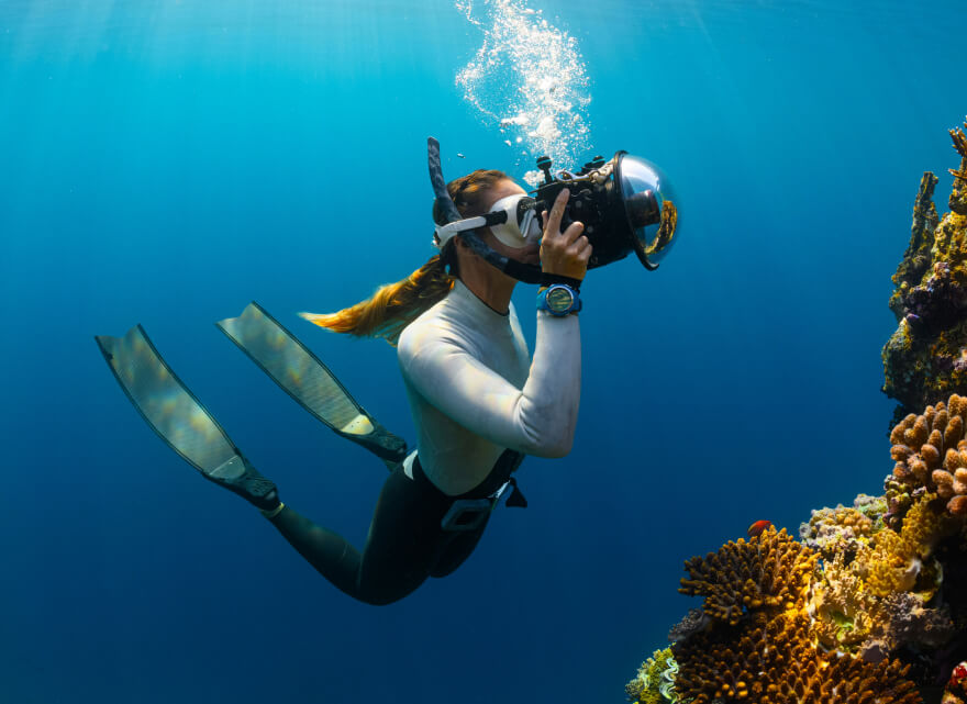 DIGITAL DESIGN – Liko