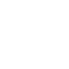 DIGITAL DESIGN – Liko